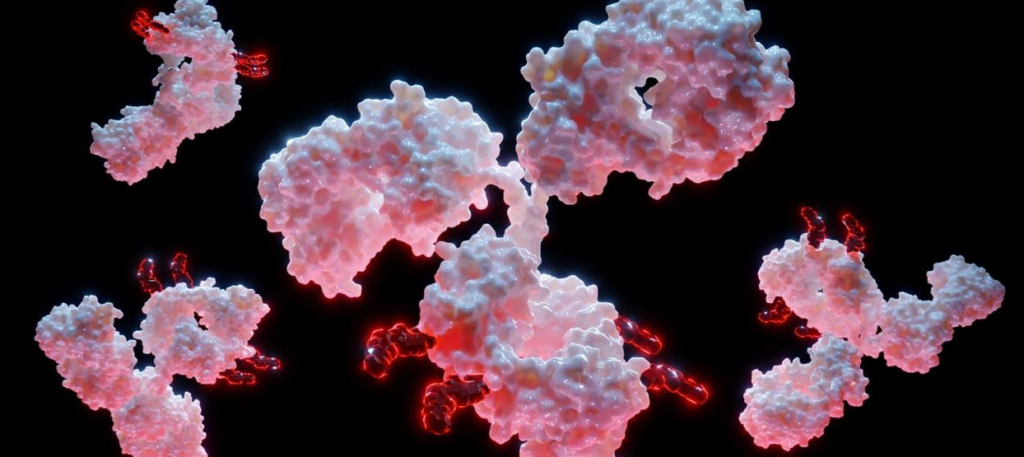 December 2023 – Non-IgG Antibody Blog – Creative Biolabs