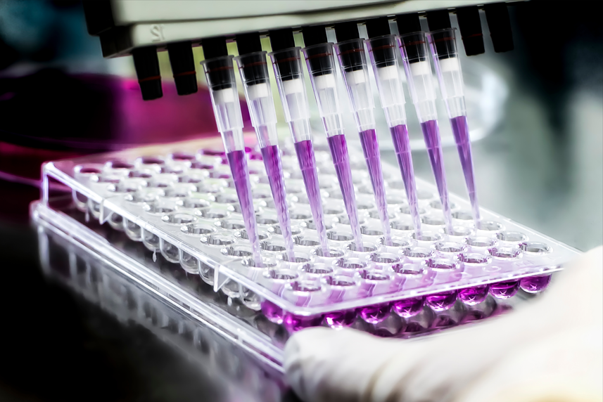 Understanding the Natural Progression of IgE-Mediated Food Allergy in a Single Read – Non-IgG ...