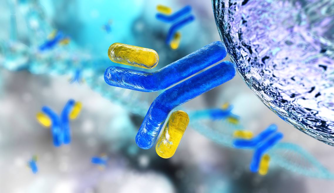 From Sensitization to Tolerance – How IgE, IgG, and IgA Shape the ...