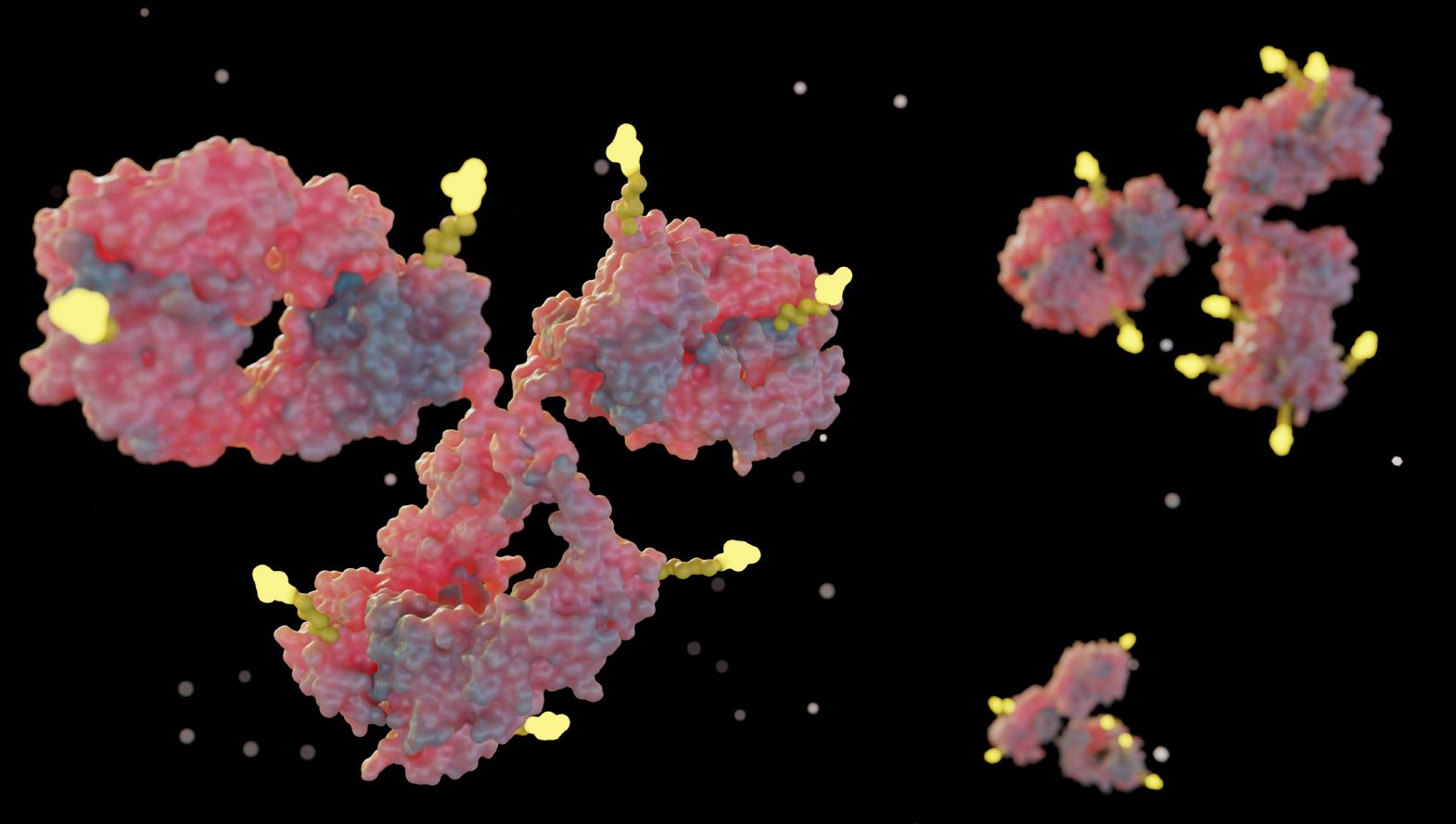 New Advances in the Application of IgA Antibodies in Biosensor ...